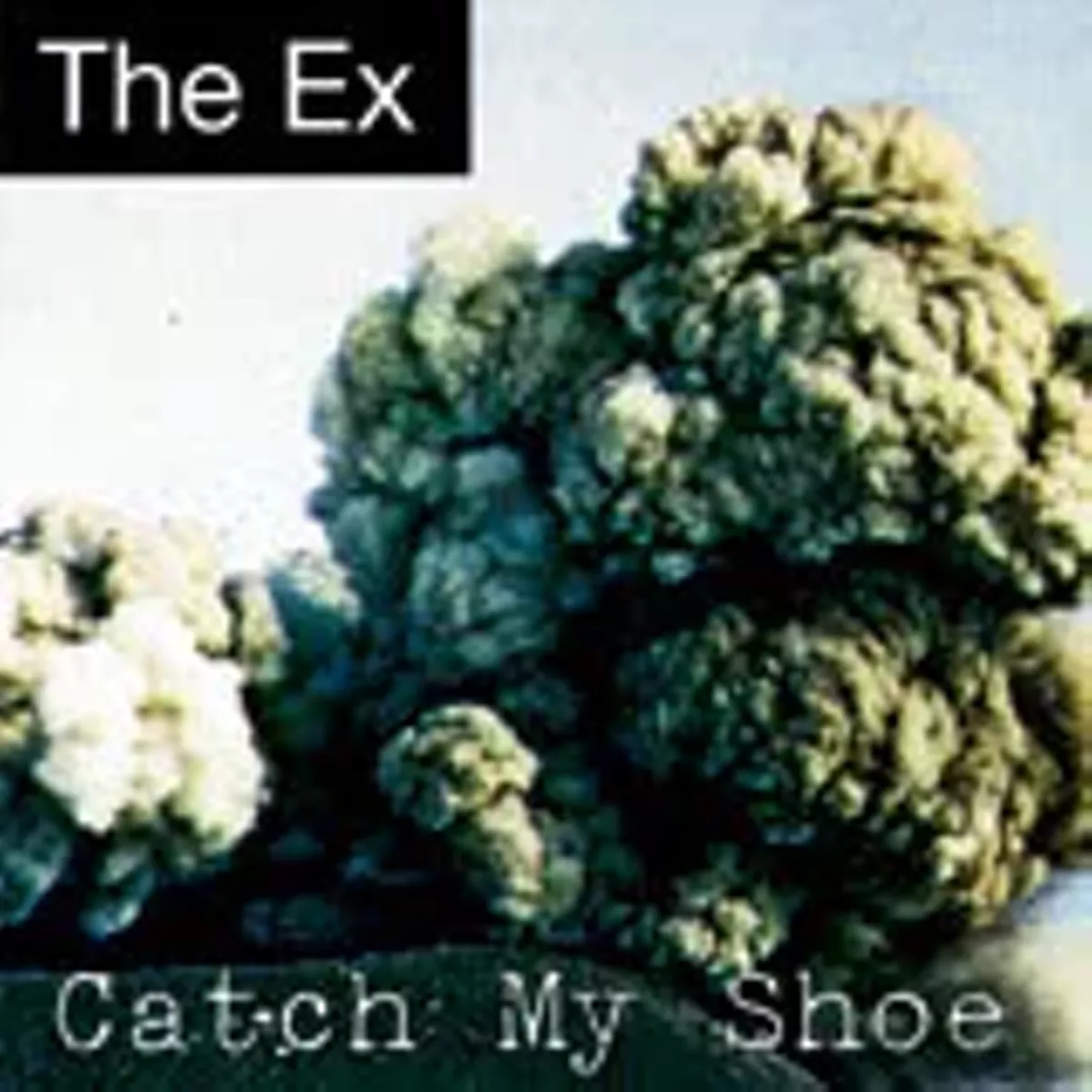 Catch My Shoe