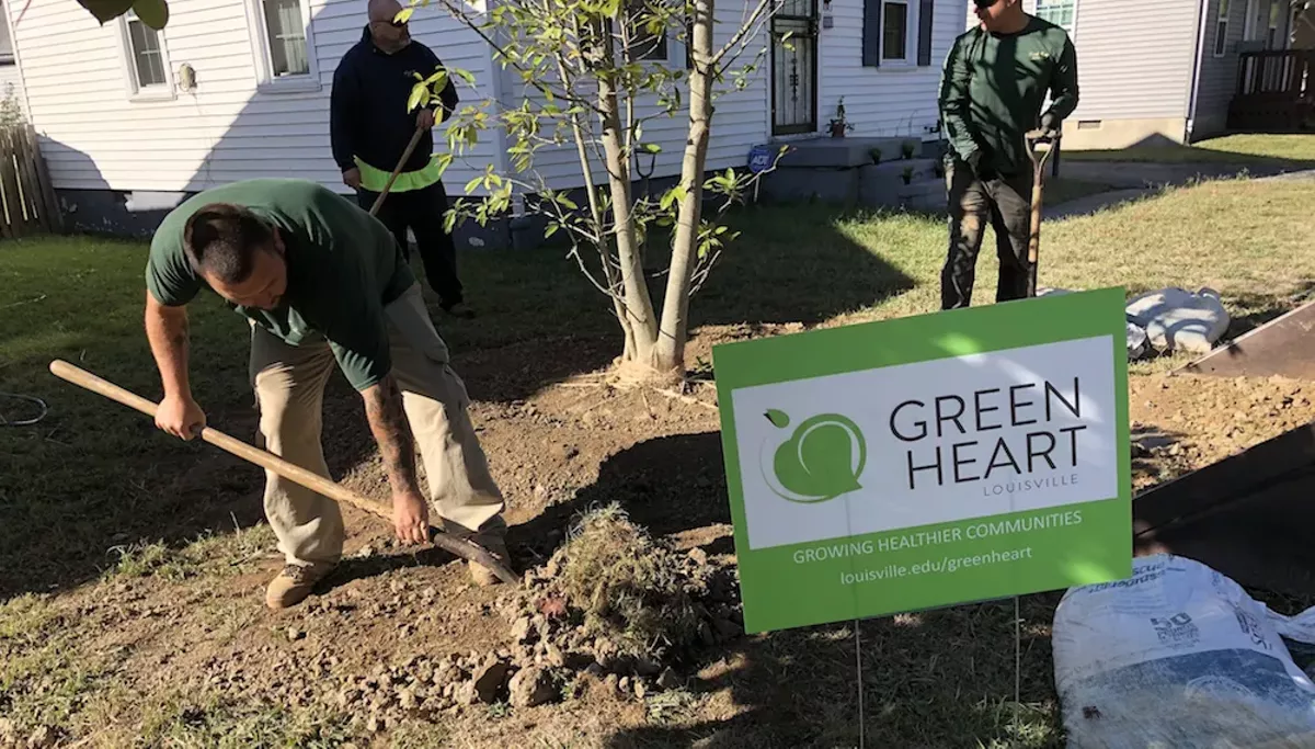 More trees, fewer health problems: Inside Green Heart Louisville’s five ...
