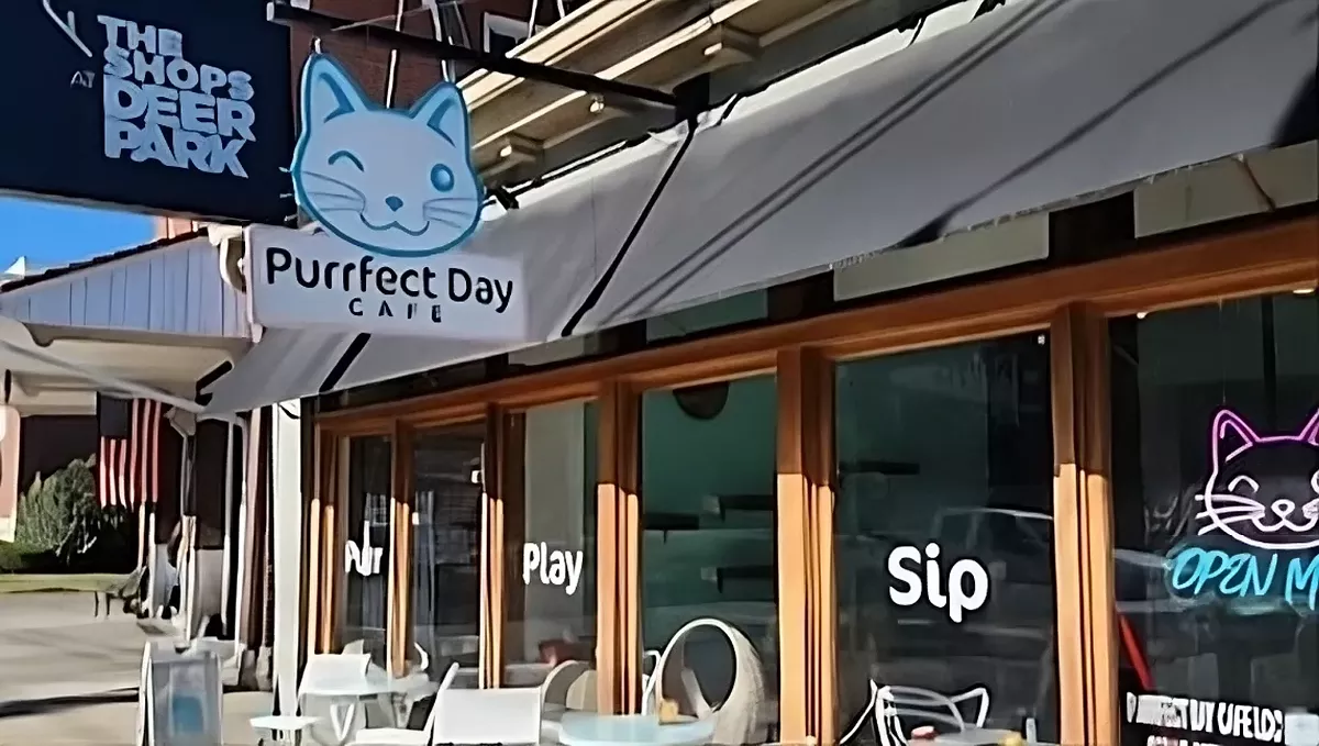Louisville's Purrfect Day Cat Cafe Soon To Be First In The Nation To ...