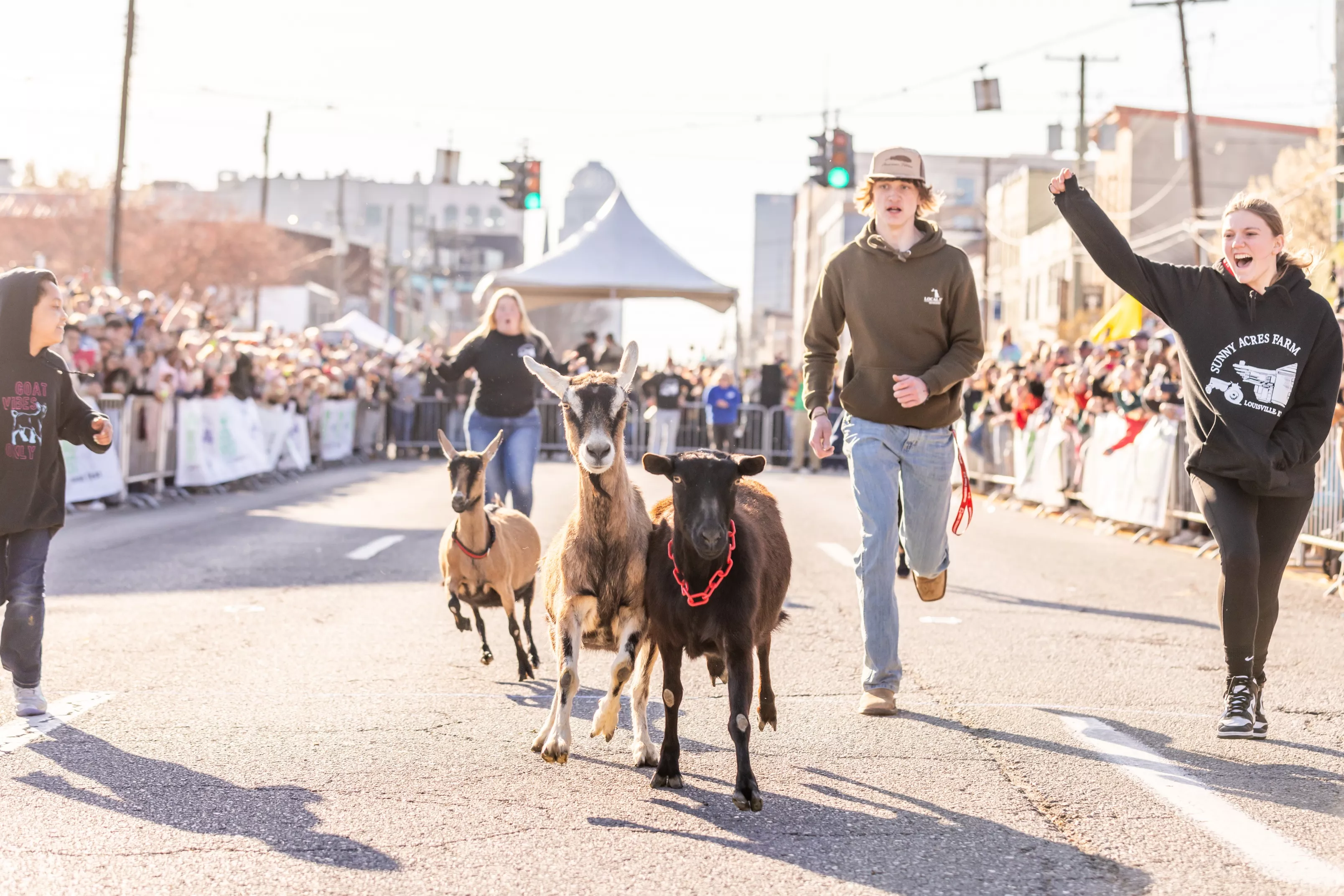 PHOTOS: Everything We Saw At Nulu Bock Fest 2024